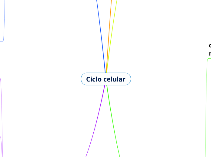Ciclo celular - Mind Map